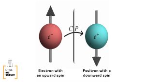 Spin of Quantum Particles - Little, Big Science : Little, Big Science