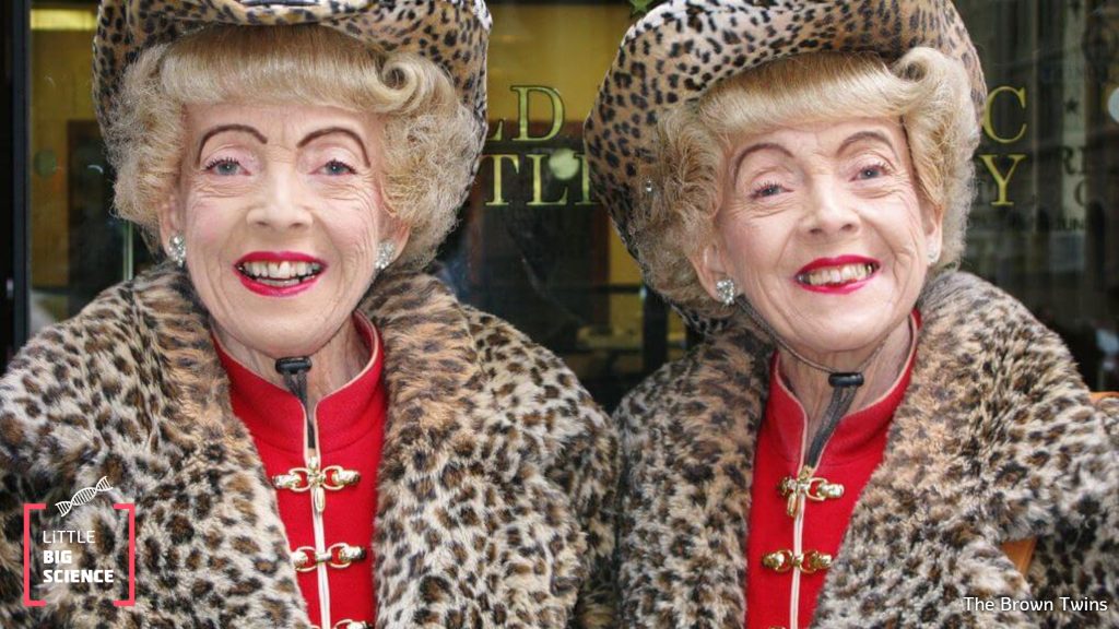 Same Same But Different - Little, Big Science : Little, Big Science