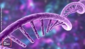 Happy RNA Day! - Little, Big Science : Little, Big Science