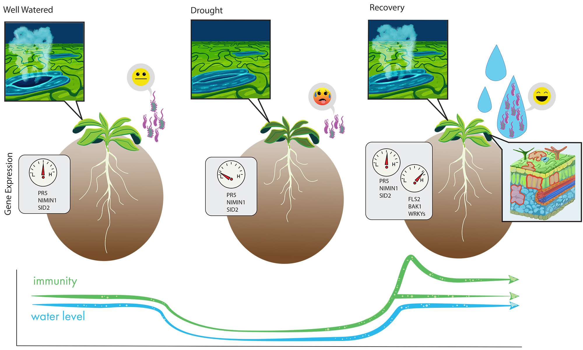 Shields Up! - Little, Big Science : Little, Big Science